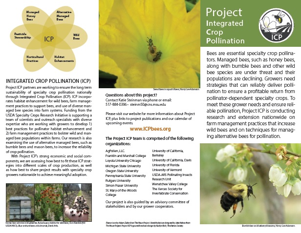 The Integrated Crop Pollination Project | A Coordinated Agricultural ...